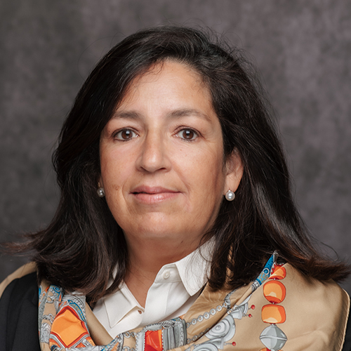 SISTEMA DE INCENTIVOS NACIONAIS | ANI