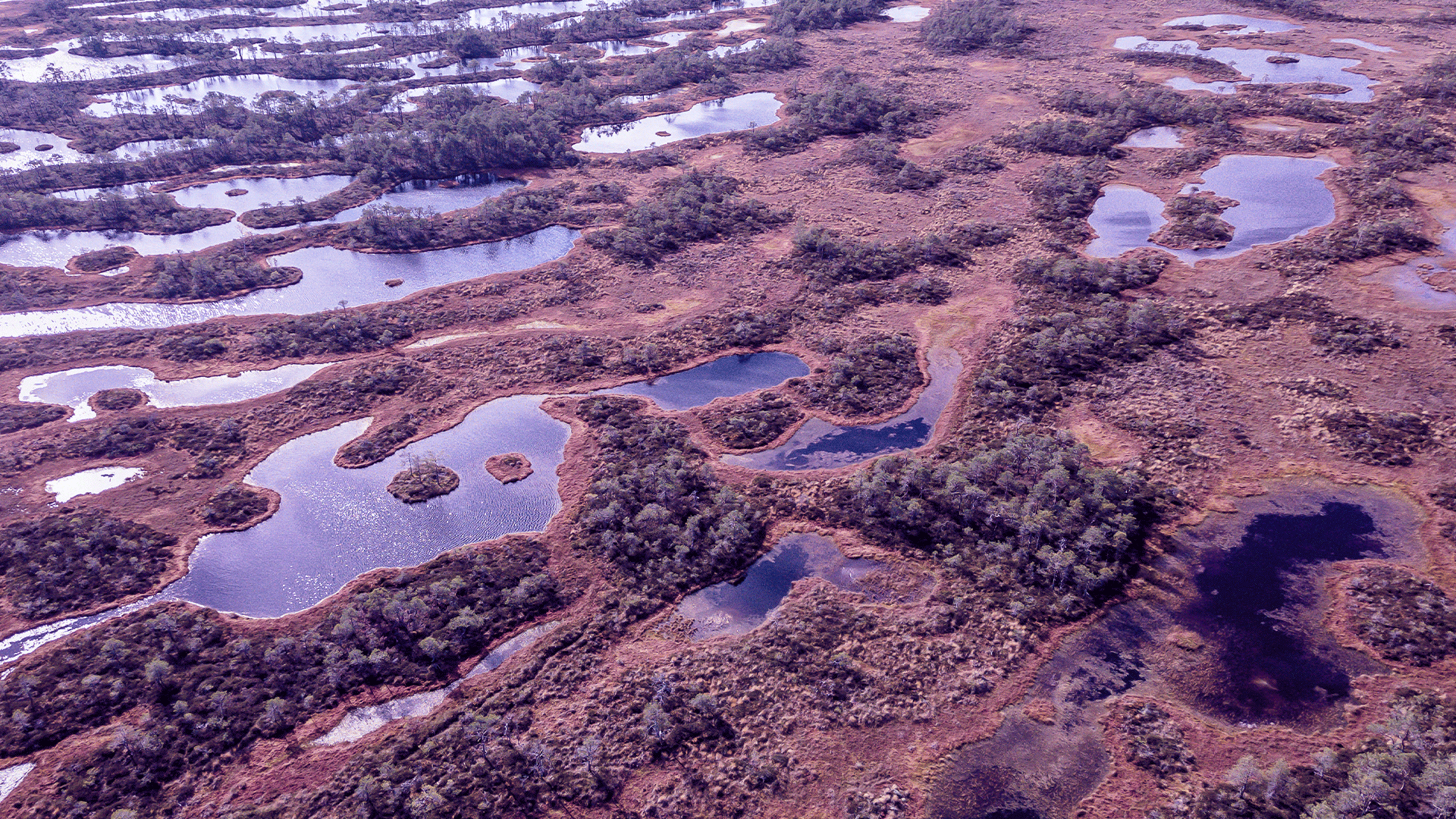 PLATAFORMA NETWOKING PARA A NOVA KIC EIT WATER | ANI