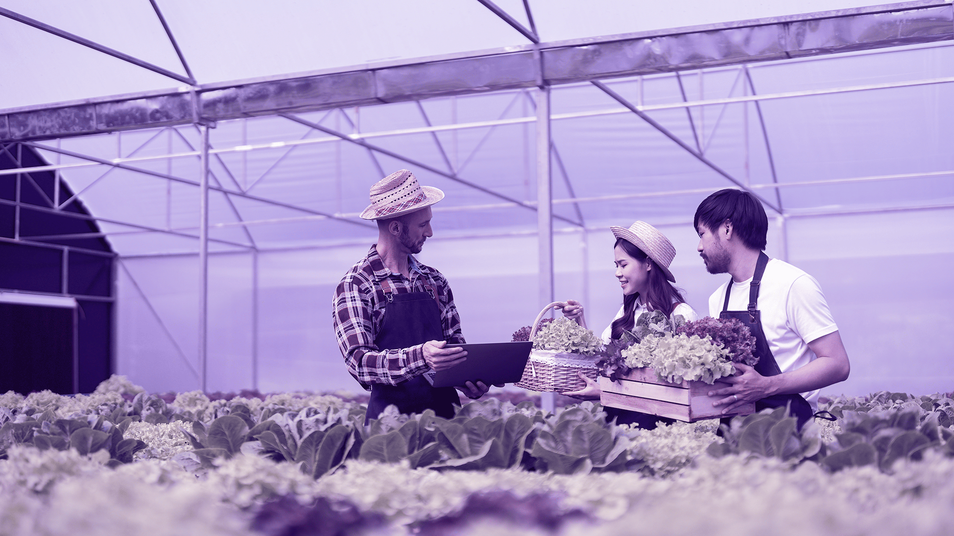 EIT Food launches financing program for sustainable changes in the food ...