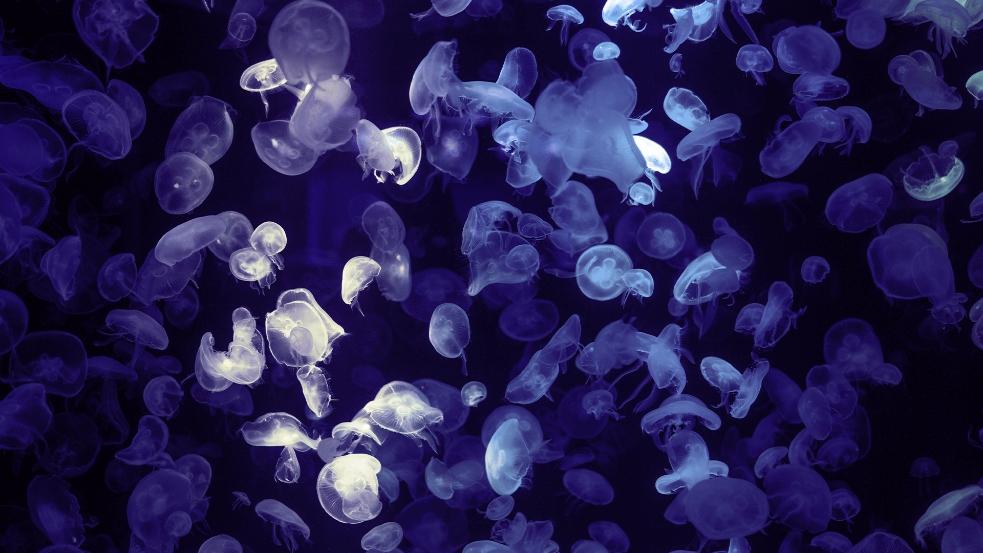 EIT launches competition for Innovation Community in Water Sectors and ...