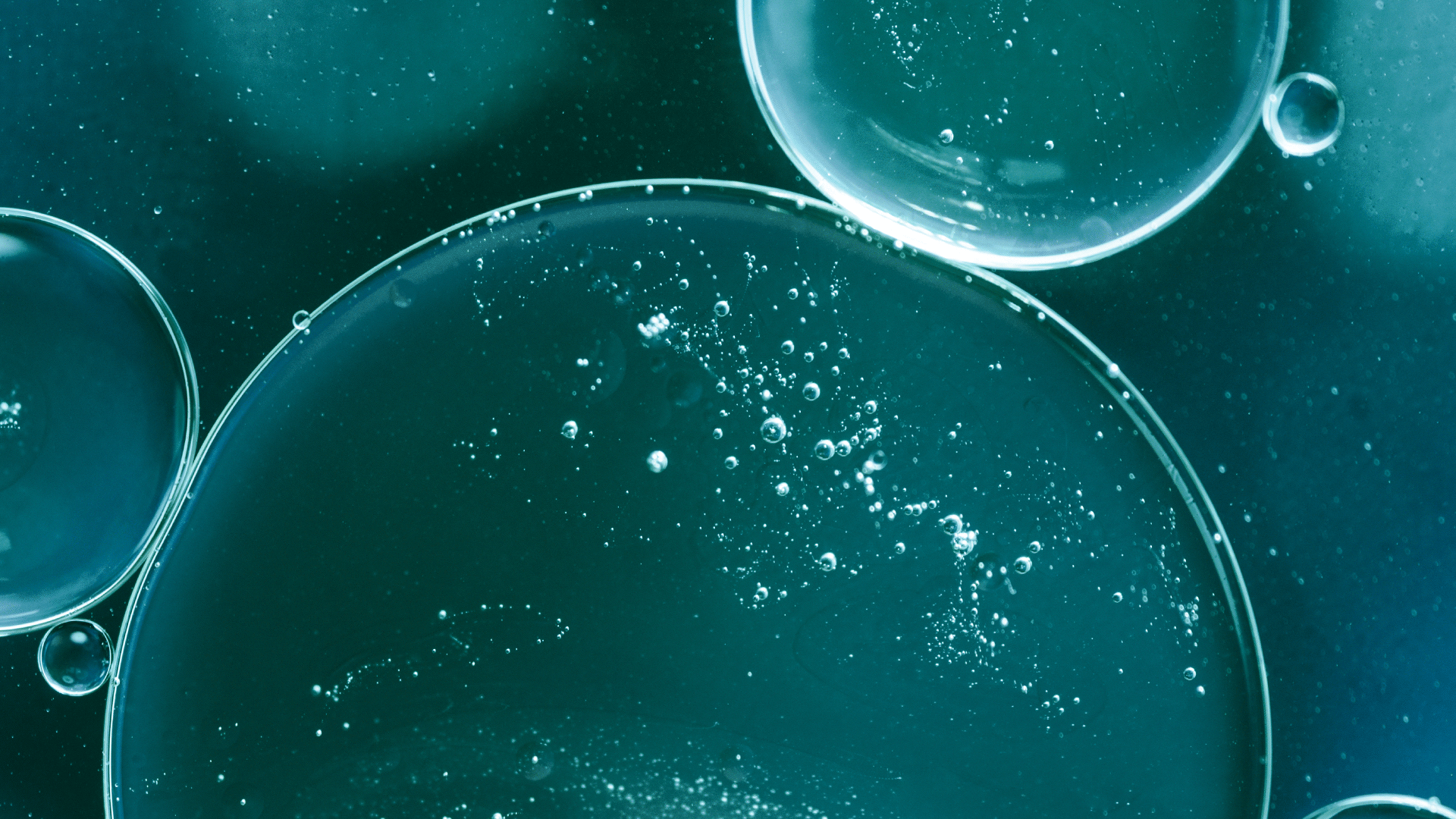 Infoday Nacional Clean Hydrogen JU 2025: Oportunidades de Financiamento ...