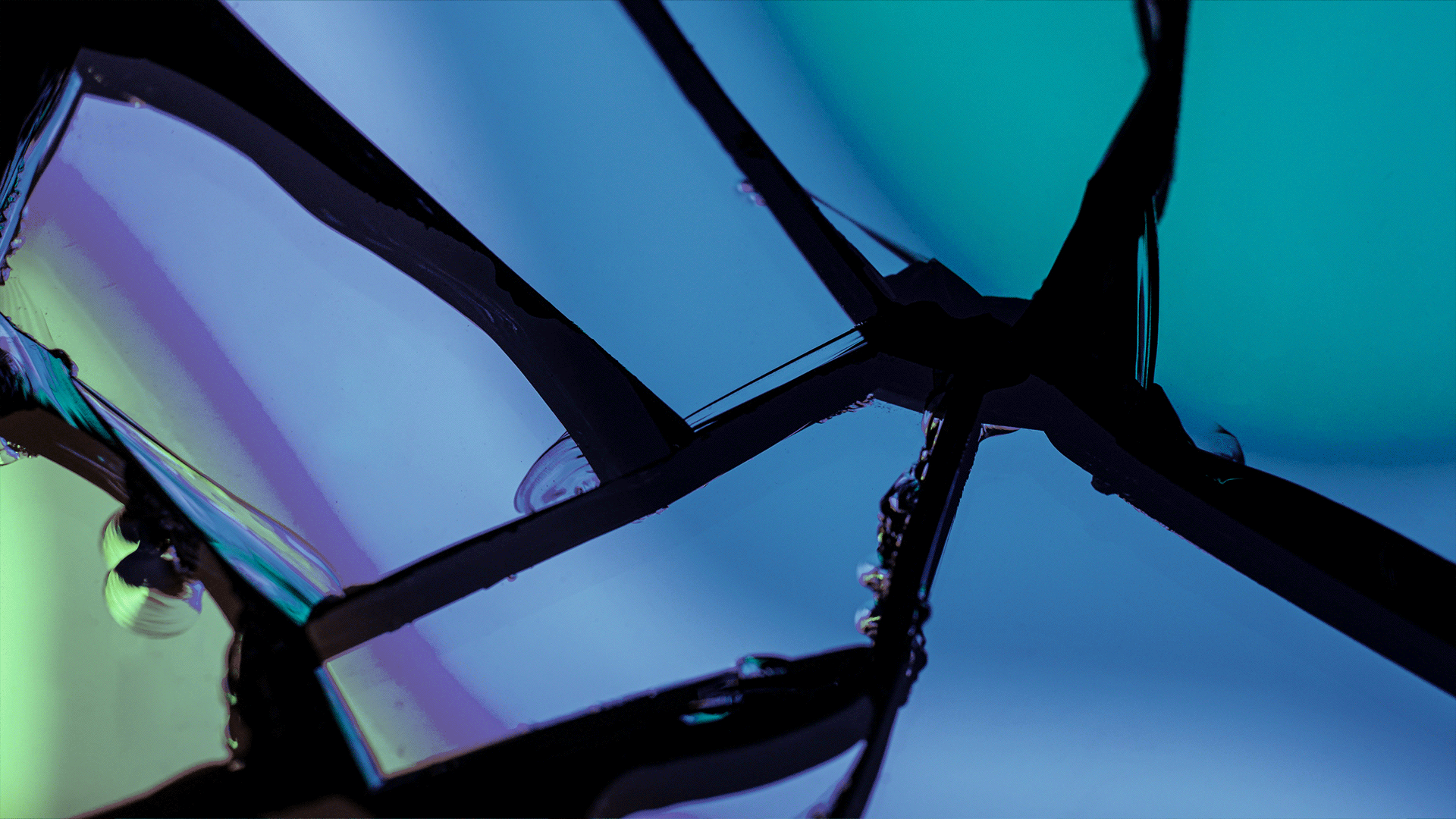 SIM CONFERENCE 2025 | ANI