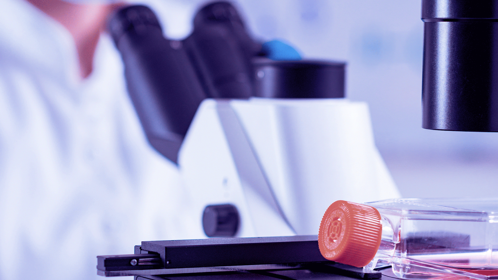 Portugal destaca-se da média europeia no concurso EIC Pathfinder ...