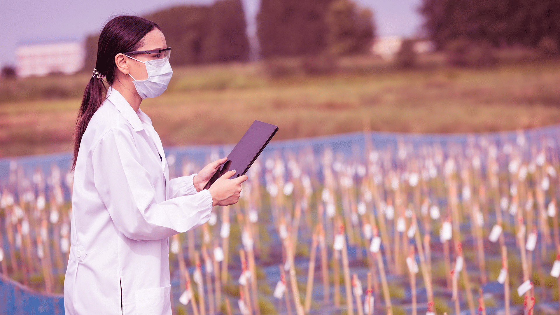 Portugal volta a integrar o programa “Bioeconomy Youth Ambassadors" da ...