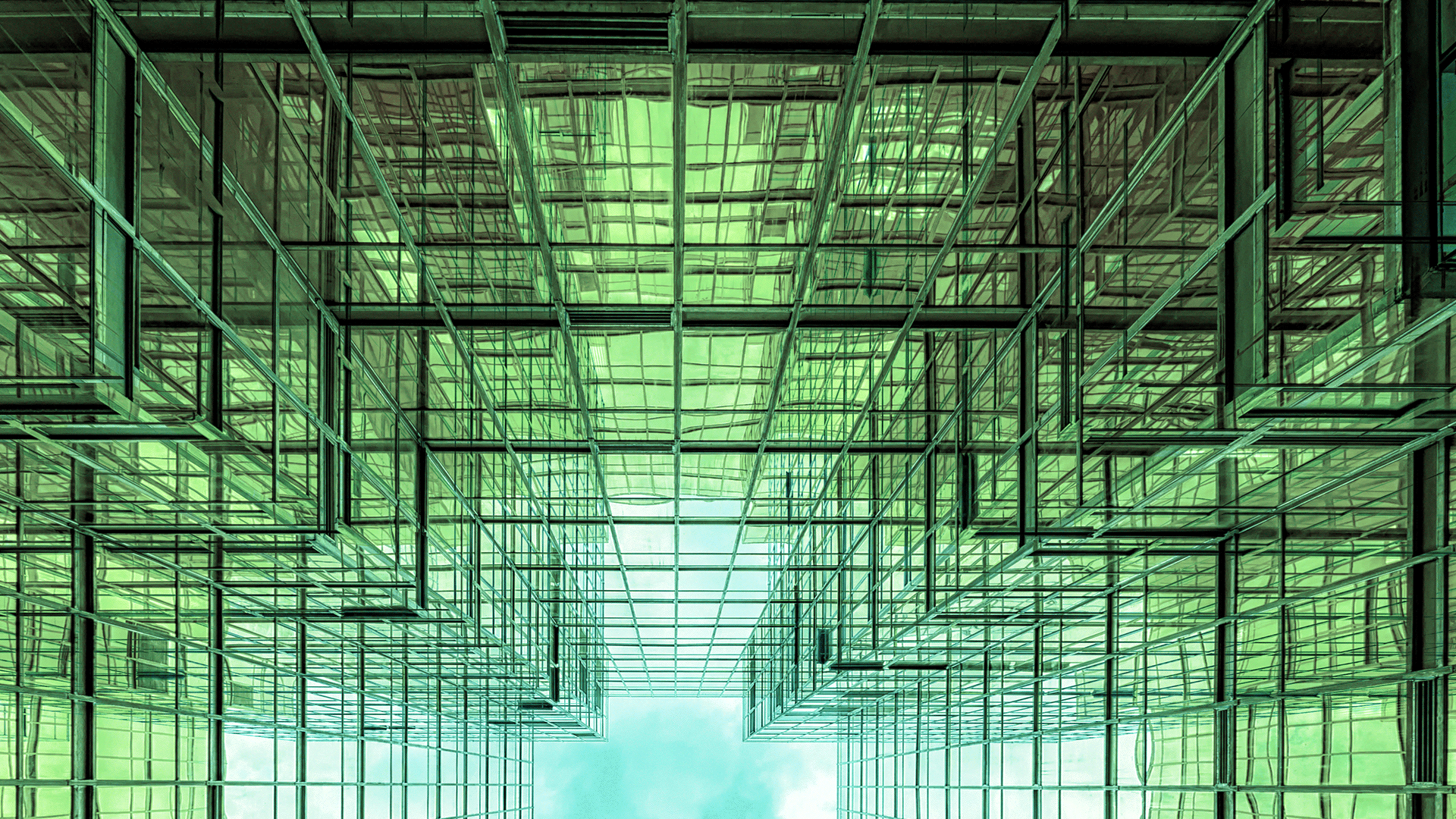 ANI attends Web Summit 2025, highlighting technology-based knowledge ...