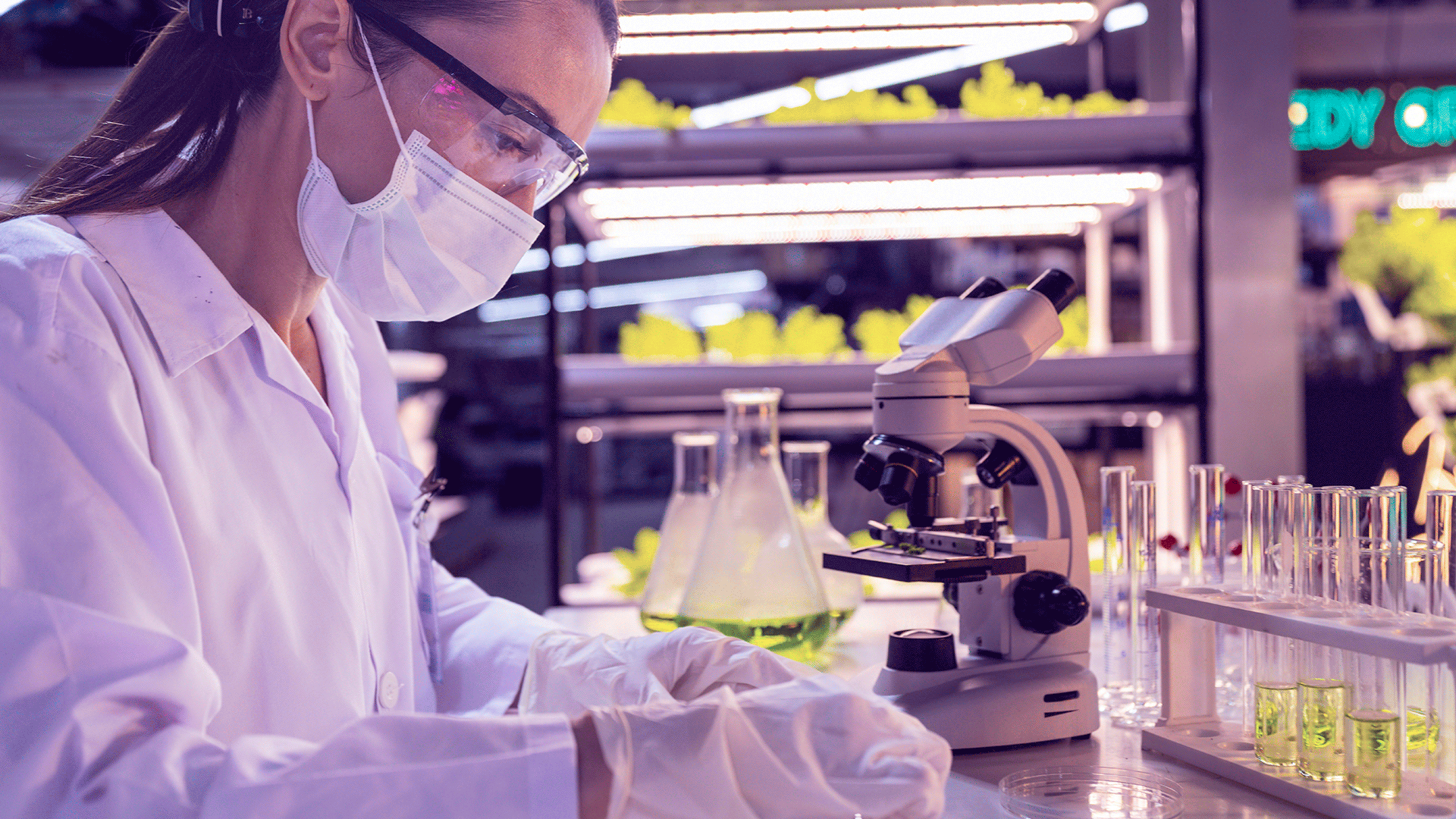 Sanofi lança dois concursos de inovação com apoios para startups e ...